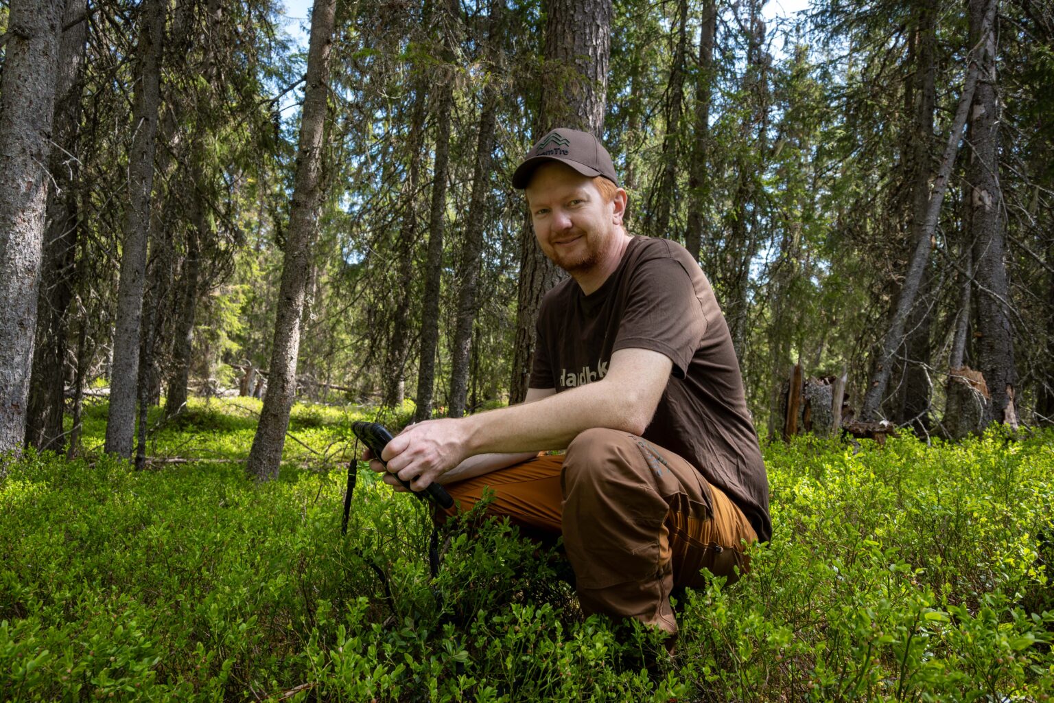 På jakt etter skogens verdier - FramTre